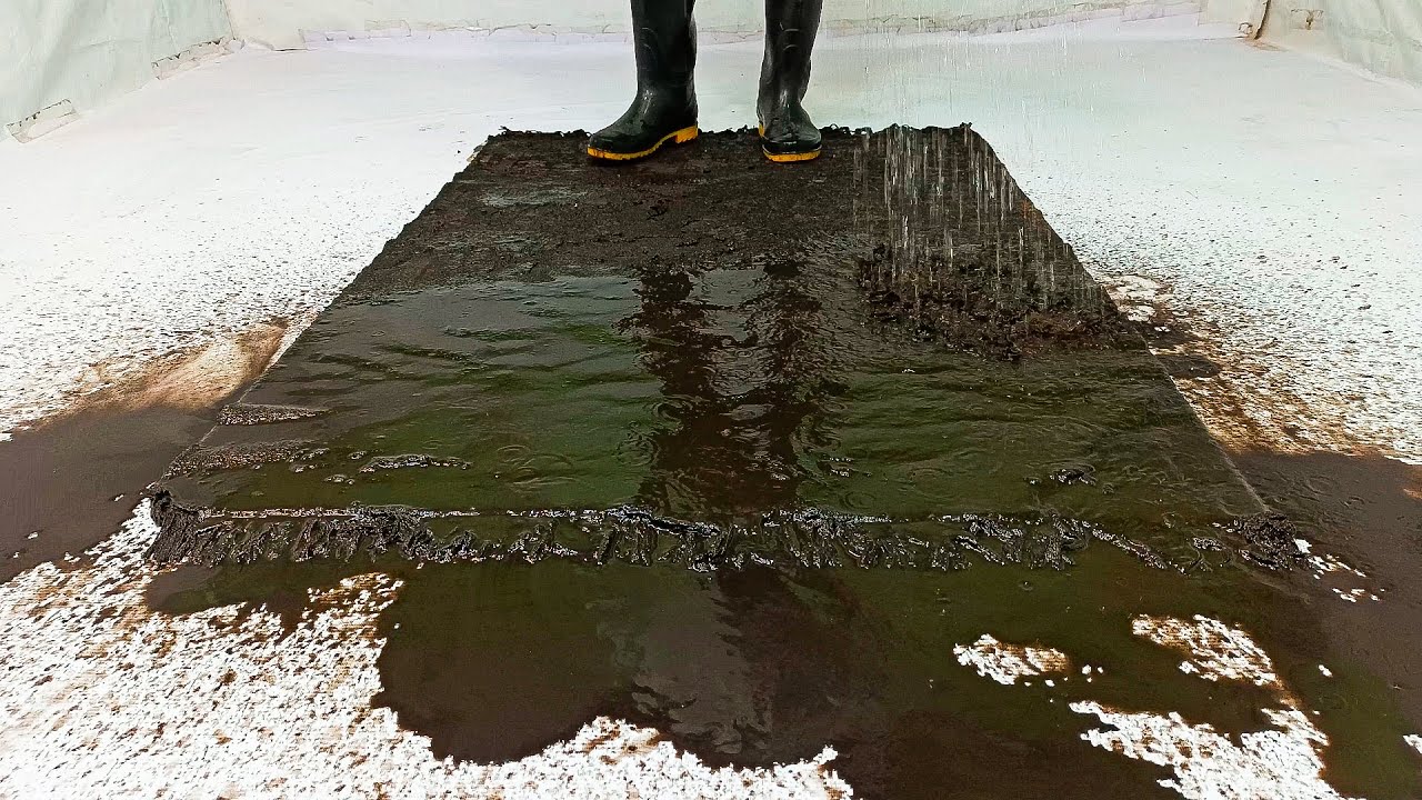 Reviving a Filthy Rug ! Satisfying ASMR Carpet Timelapse - YouTube