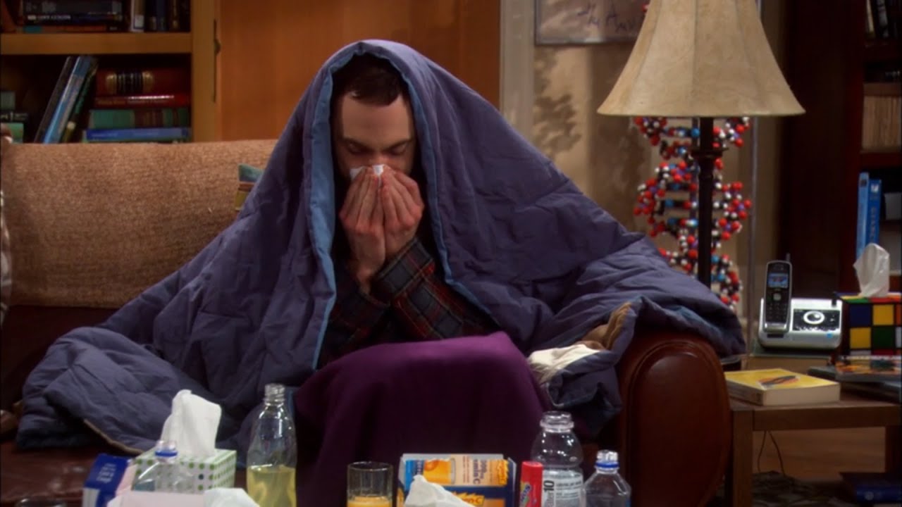 Penny and Sheldon are sick! TBBT S3E15 - YouTube