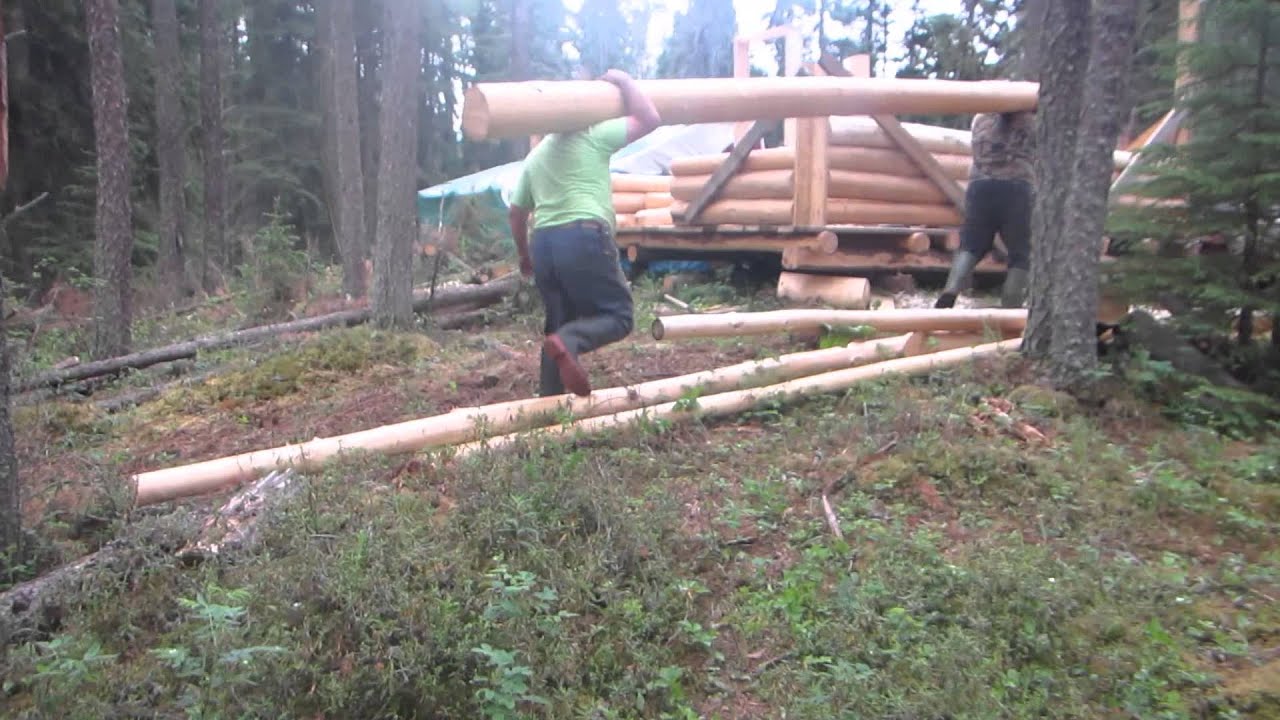 How to Build a Cabin (Trapping Cabin) - Part 10 - YouTube