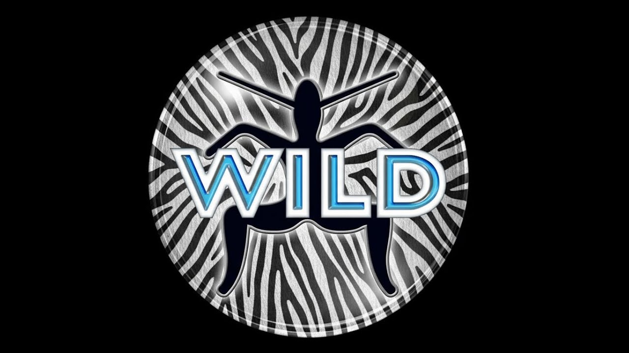 DJZee - Tribute To Wild FM (Megamix #2) Preview - YouTube