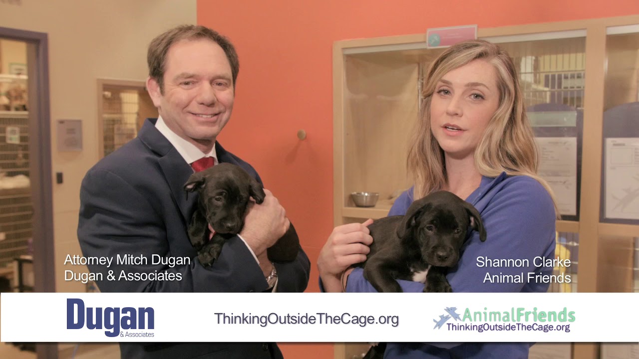 Dugan Animal Friends REV 3 - YouTube