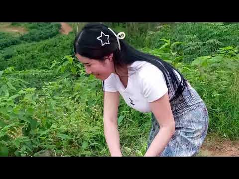 hnub no mu ncig ua si lom zem heev nawb - YouTube