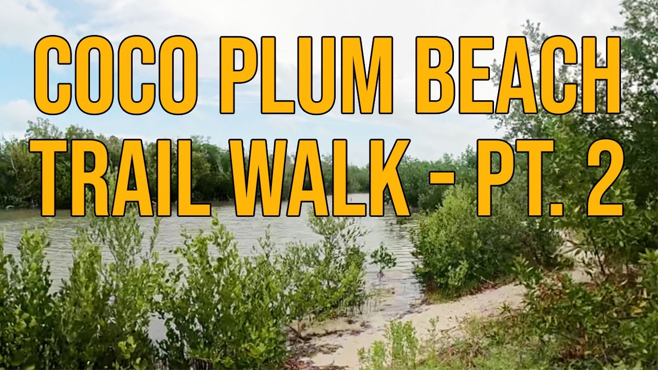 Coco Plum Beach Trail Return Walk at Marathon Key - Part 2 - YouTube
