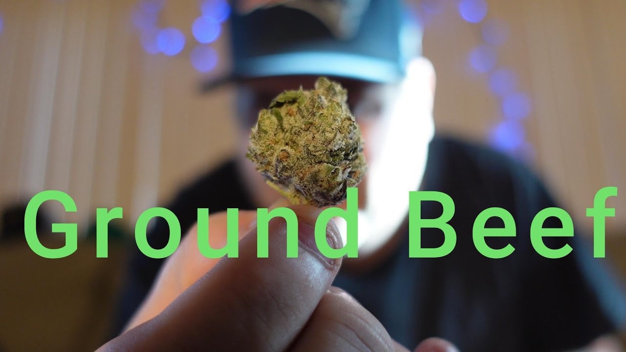 Ground Beef Strain - YouTube