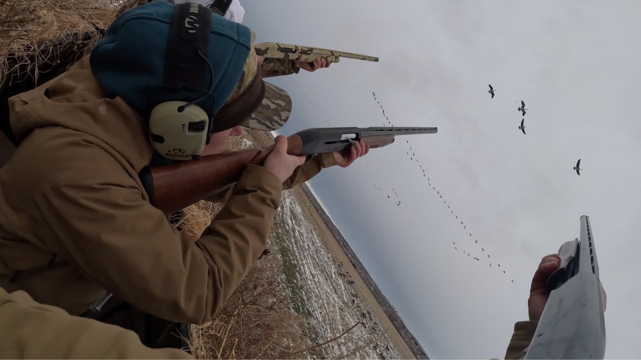 Hunting With A-Frame Blind - YouTube