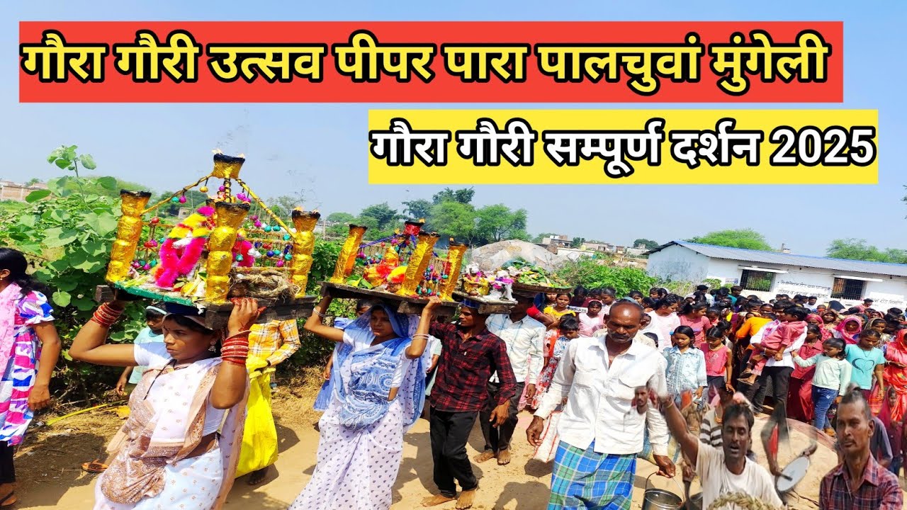 गौरा गौरी उत्सव दिवाली त्योहार पिपर पारा मुंगेली छत्तीसगढ़ 2025 Goura ...