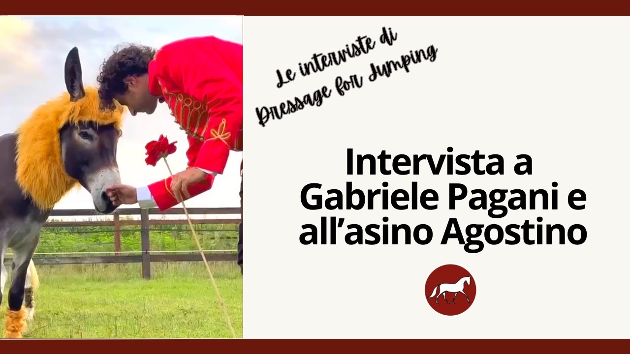 Intervista Gabriele Pagani Lupin Donkeys - YouTube