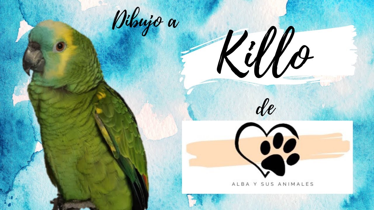 Dibujo a | Killo | de Albaysusanimales | Speed Drawing - YouTube