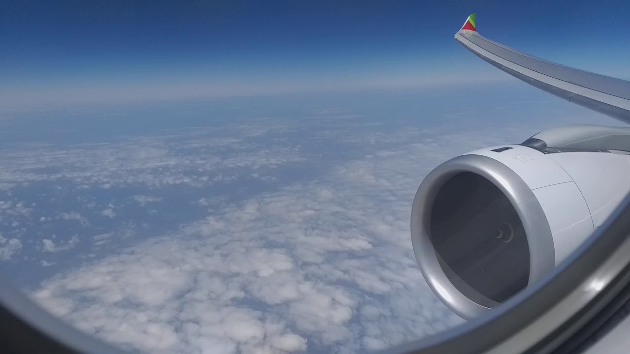 Cruising Level - A330neo - TAP - Over the ocean - YouTube