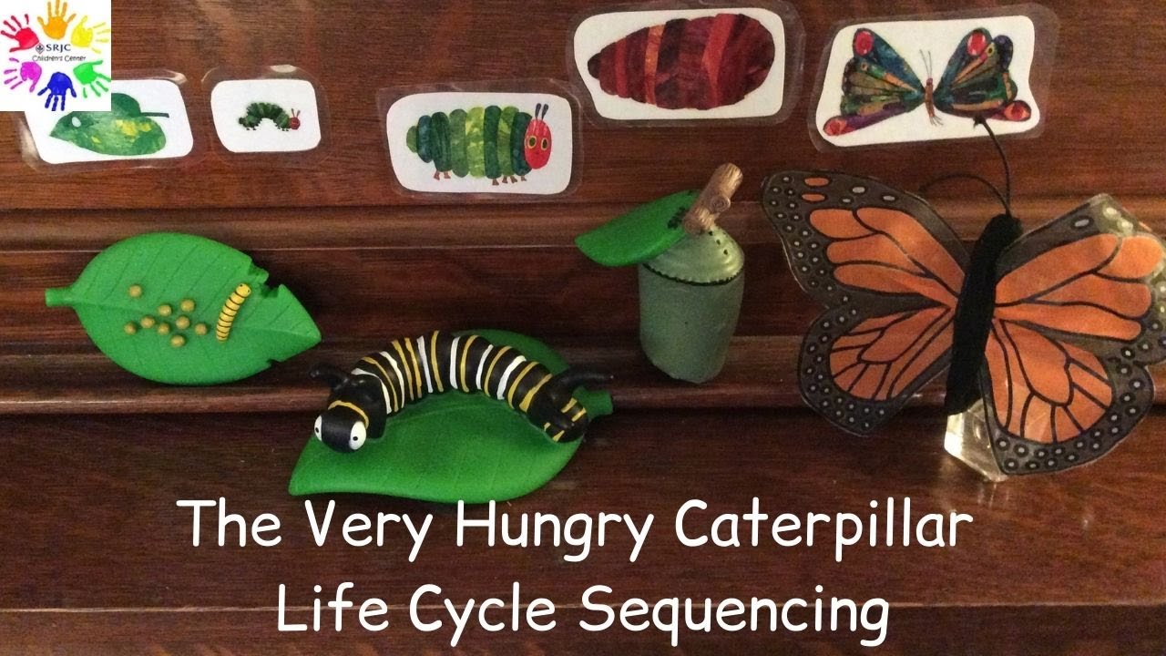 Literacy - The Very Hungry Caterpillar Life Cycle Sequencing - YouTube