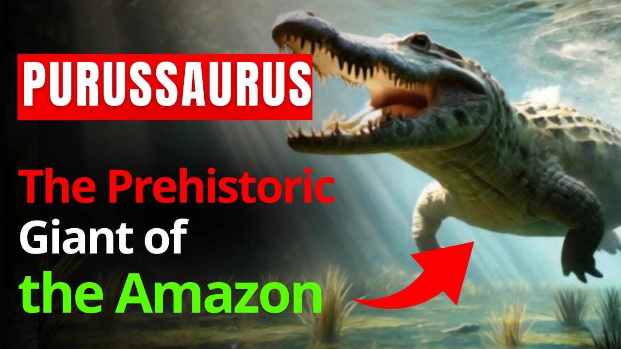 Purussaurus: The Largest Prehistoric Crocodilian of the Amazon ...