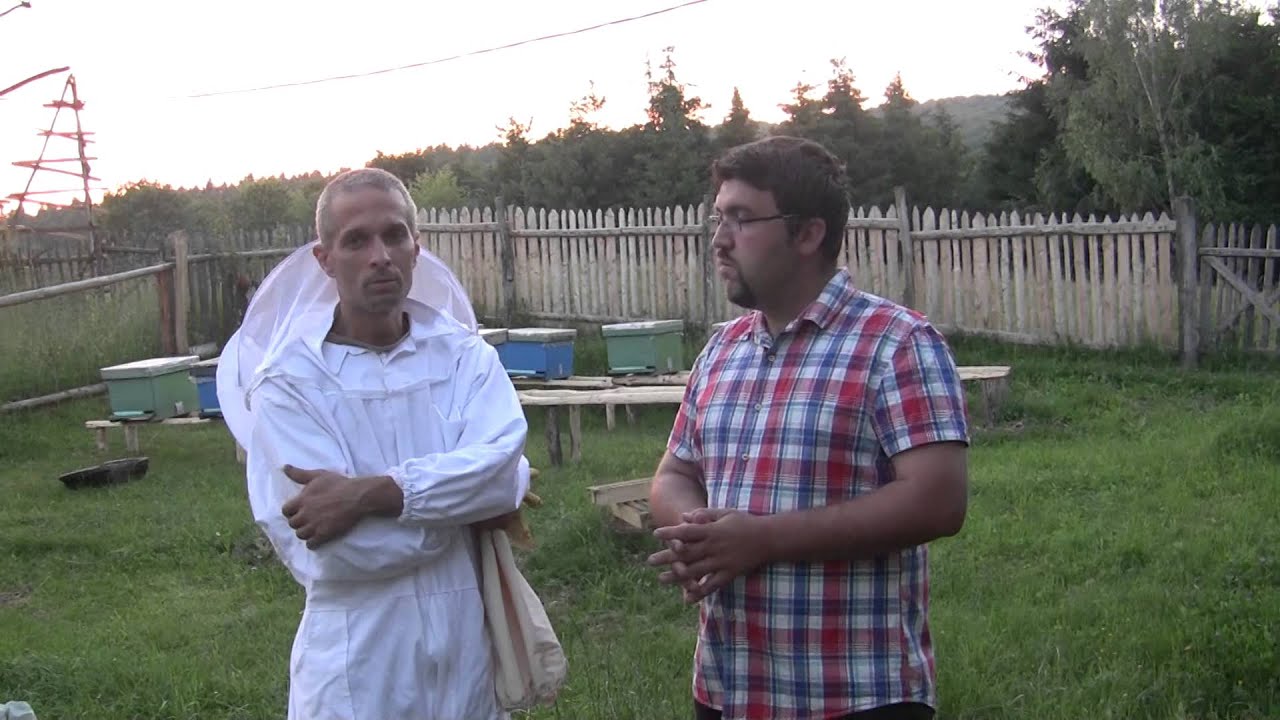 Ajutor oferit de Libraria Maranatha pentru o familie saraca - YouTube