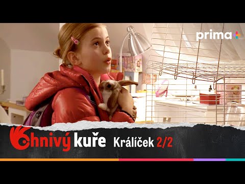 Ohnivý kuře (28): Králíček – část 2/2