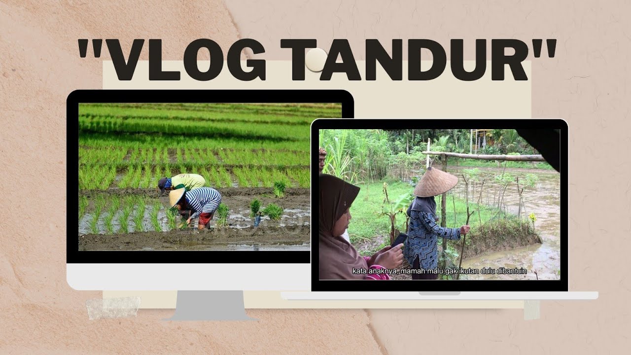 VLOG TANDUR (MENANAM PADI) | Daily Vlog - YouTube
