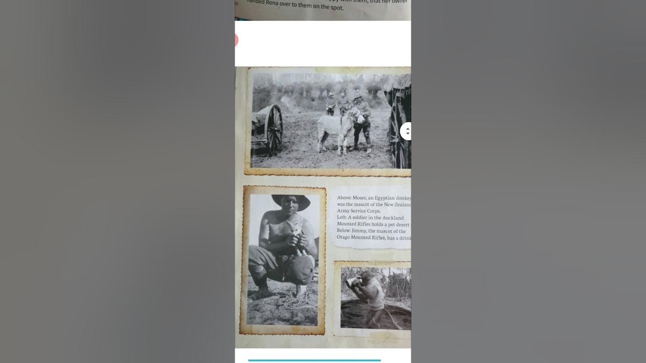 First world war Mascots - YouTube