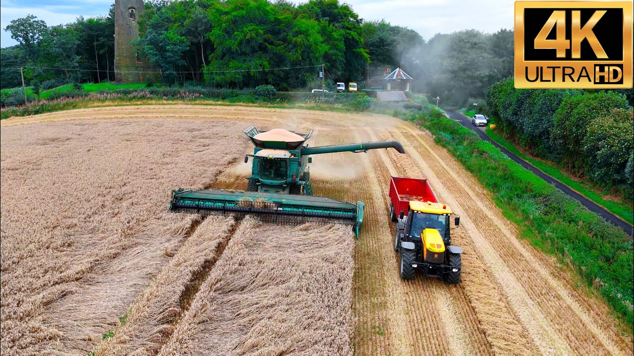 4K NEWEST 2025 John Deere Harvesting Wheat JCB Massey Ferguson Tractor ...