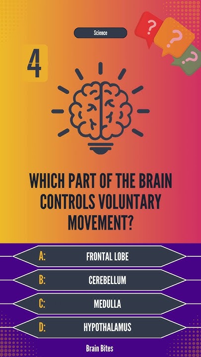 Which part of the brain controls voluntary movement? #quiz #shorts ...