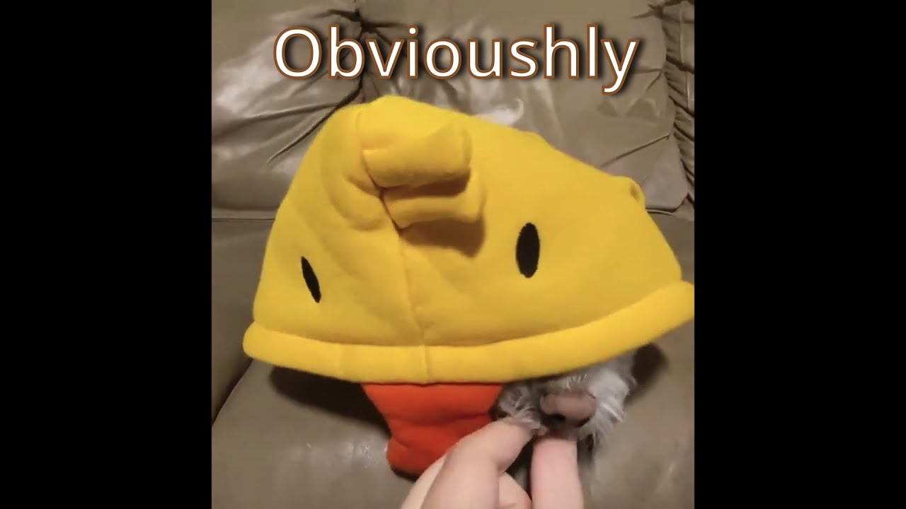 Rat Is Actually BadBoyHalo's Duck | Rat Compilation #23 - YouTube