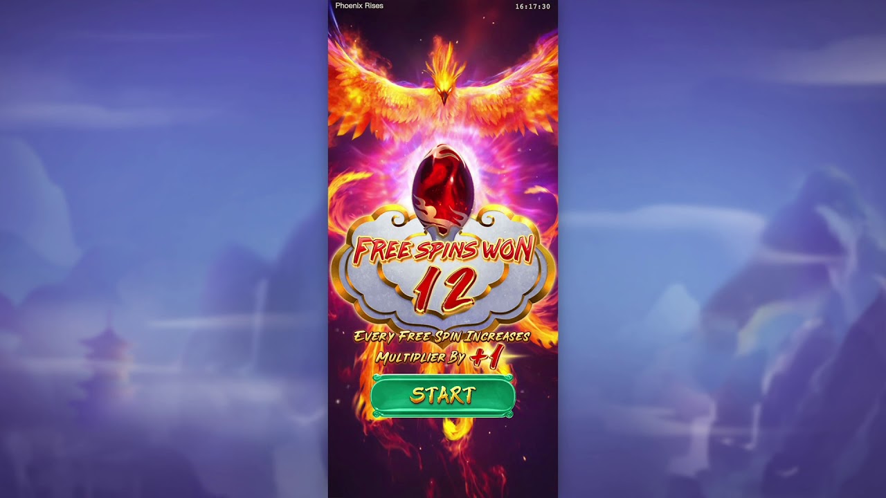 Phoenix Rises - YouTube