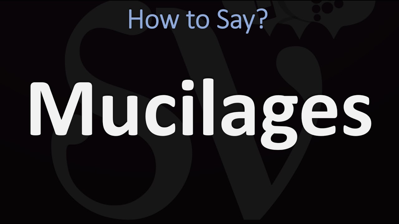 How to Pronounce Mucilages? (CORRECTLY) - YouTube