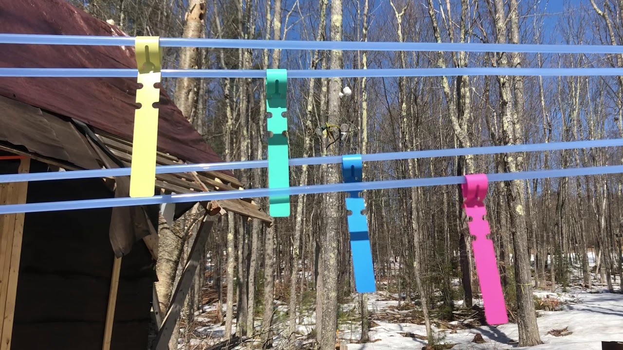 Yield more sap with simple vacuum system part 2/3 - YouTube
