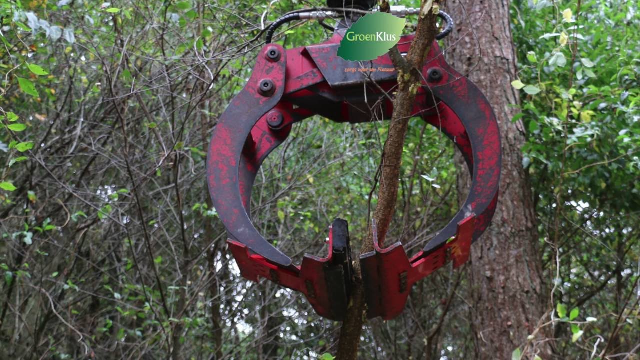 Machinaal verwijderen Prunus Serotina (Bospest of Amerikaanse vogelkers ...