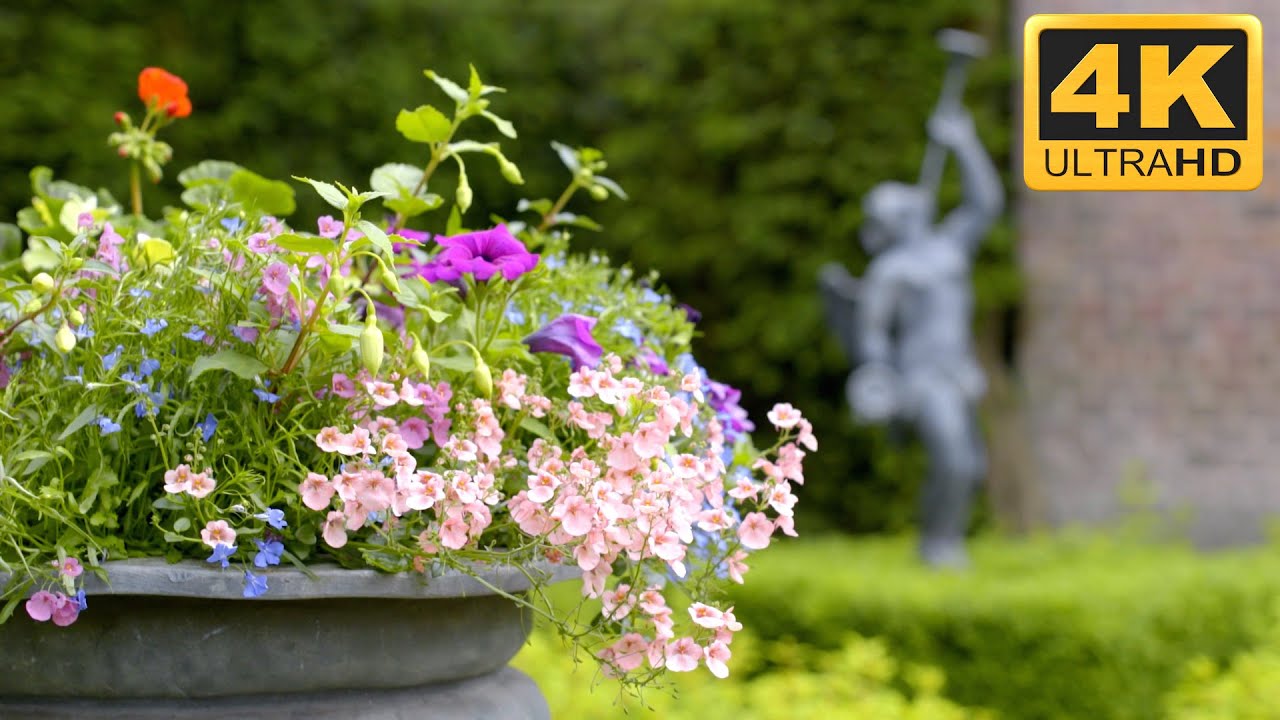 Flower Screensaver - 4K Garden Background Video - YouTube