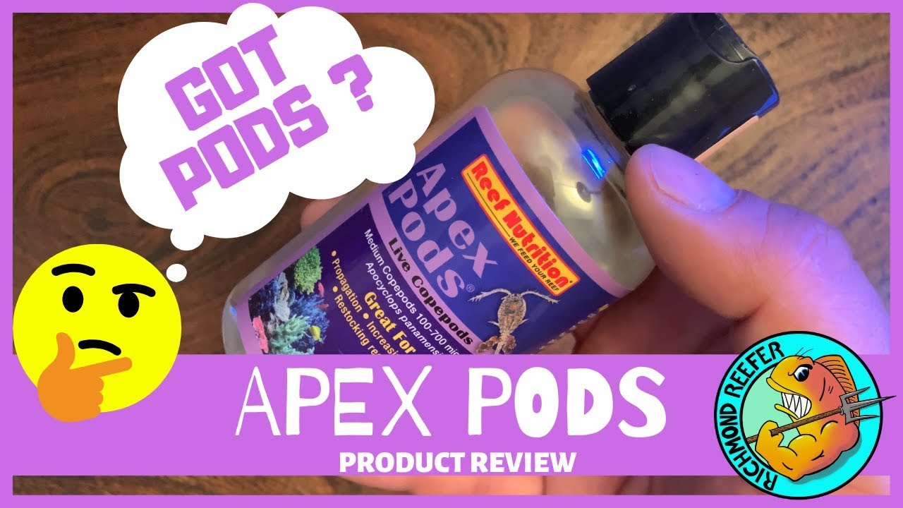Reef Nutrition - Apex Pods- Product Review - YouTube