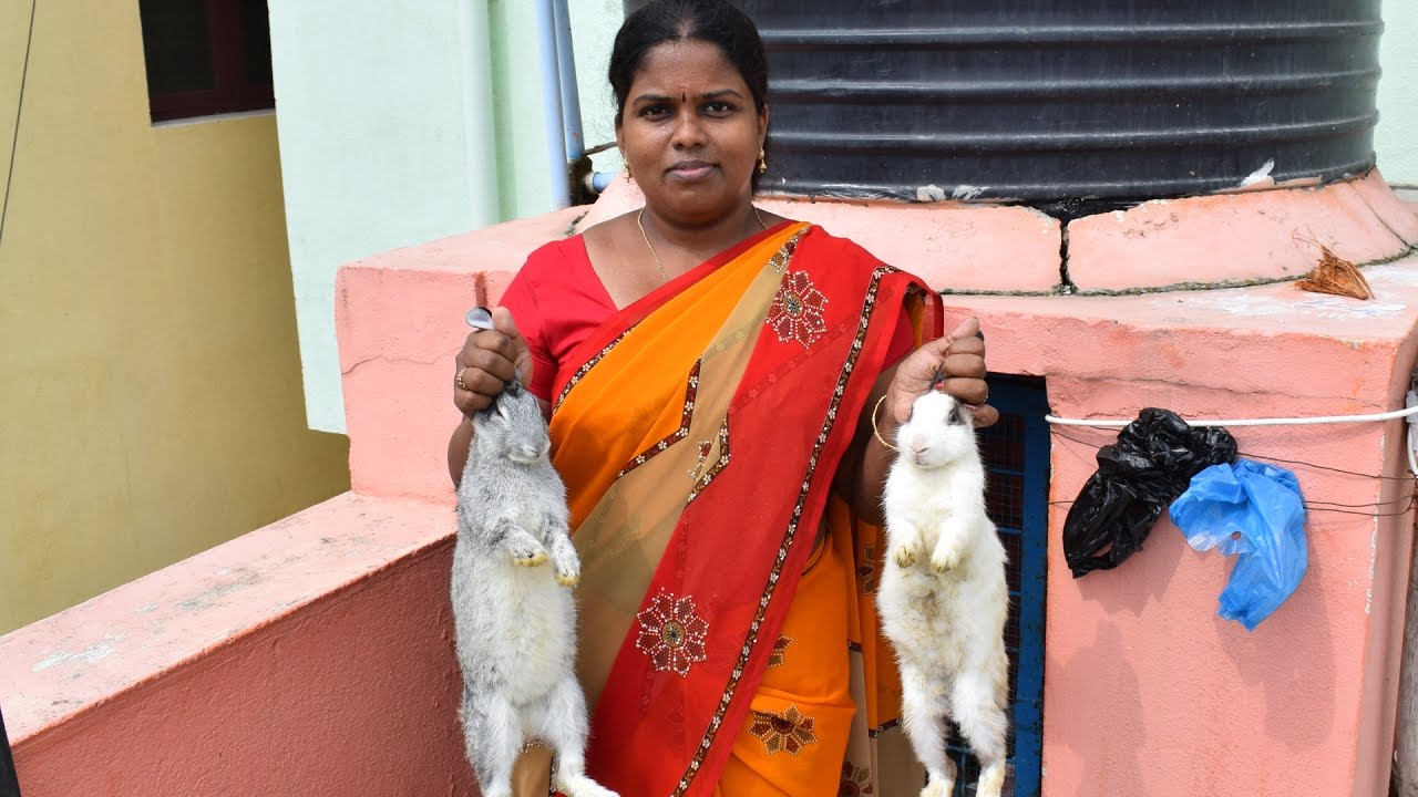 Spicy Rabbit Gravy prepared in My Village | Food Village - YouTube