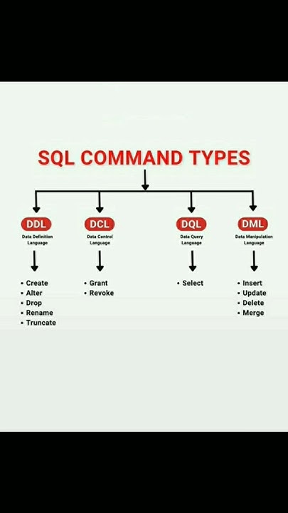 Sql Command Type Sql Developers Programming Coding Sql Query Shortsvideo Sqlqueries 1402