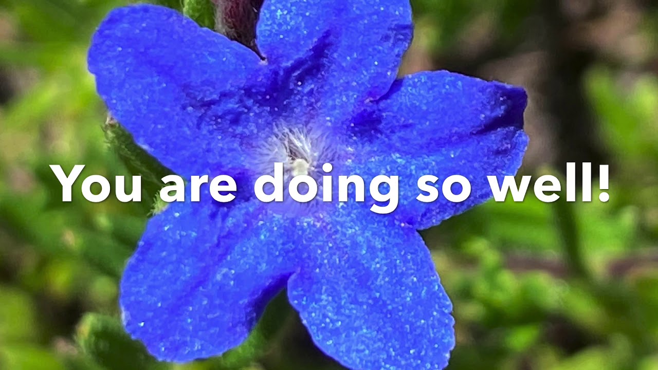 How To Say You Are Doing So Well English Express YouTube how-to-say-you-are-doing-so-well-english-express-youtube