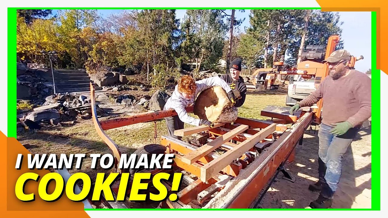 Sawmilling Firewood into Awesome Birch Cookies for Woodworking #sawmill ...