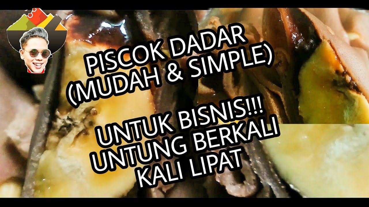 DADAR PISCOK!!! MUDAH,MURAH,UNTUNG BERKALI KALI LIPAT,COCOK UNTUK ...