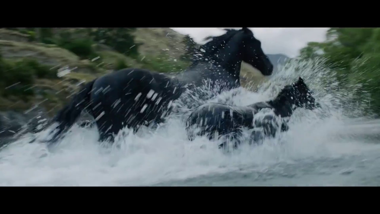 Lloyds Banks Tv advert | Shakira - YouTube