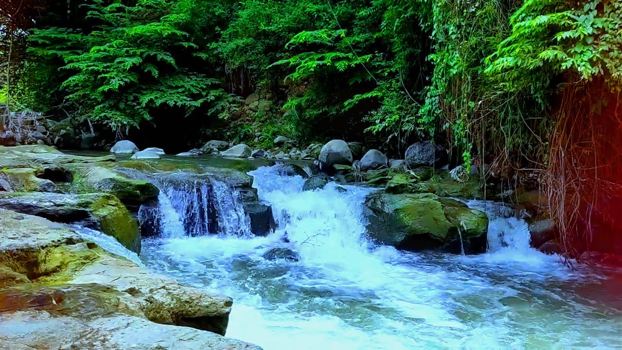 Relaxation Music To Relieve Stress, Anxiety and Depressive States ...