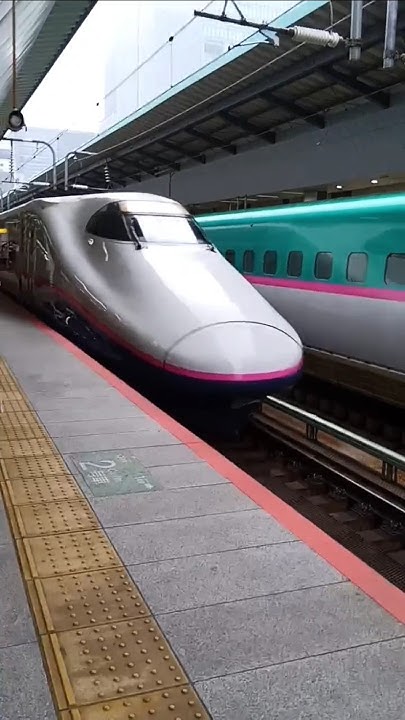 e2系 j70編成 東京駅 入線 #鉄道 #e2系 - YouTube