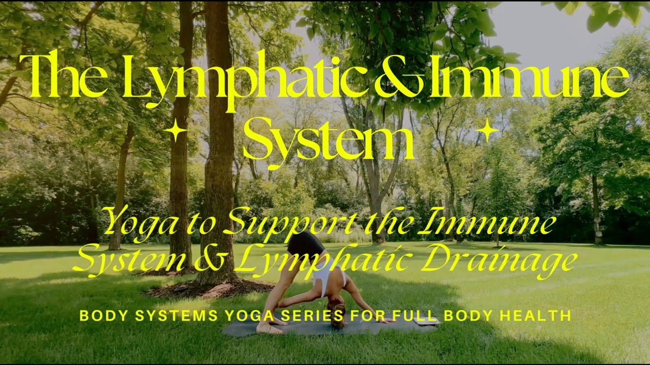 #5 LYMPHATIC & IMMUNE SYSTEM: Yoga to Support the Immune System ...