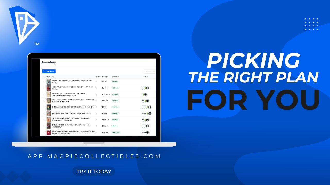 How to Choose the Perfect MAGPIE Plan: Tips for Your Business Needs ...