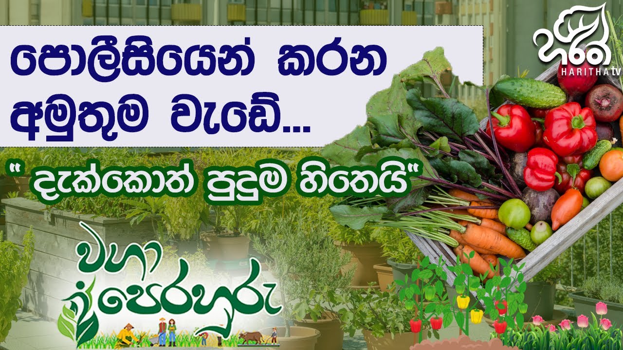 පොලීසියෙන් කරන රටටම ආදර්ශමත් වැඩේ | Haritha Tv | Waga Perahuru | Sri ...