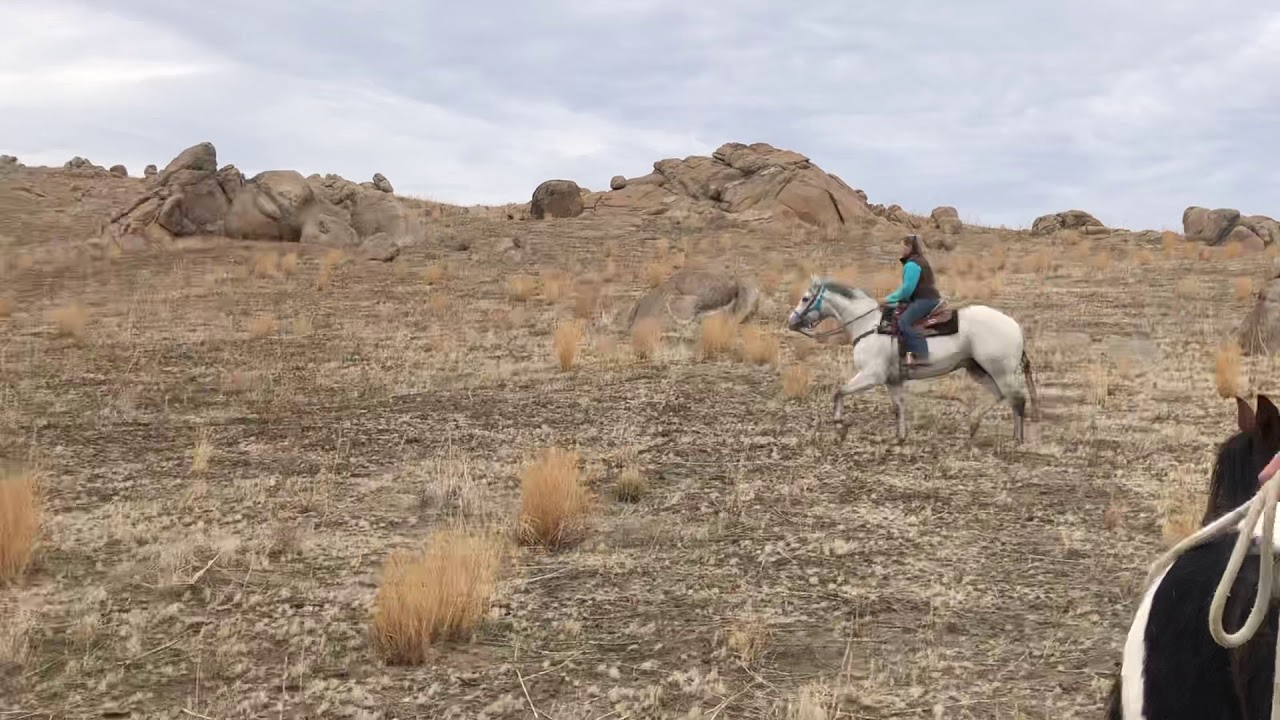 Goose Trail Riding February 2020 - what a great guy - YouTube