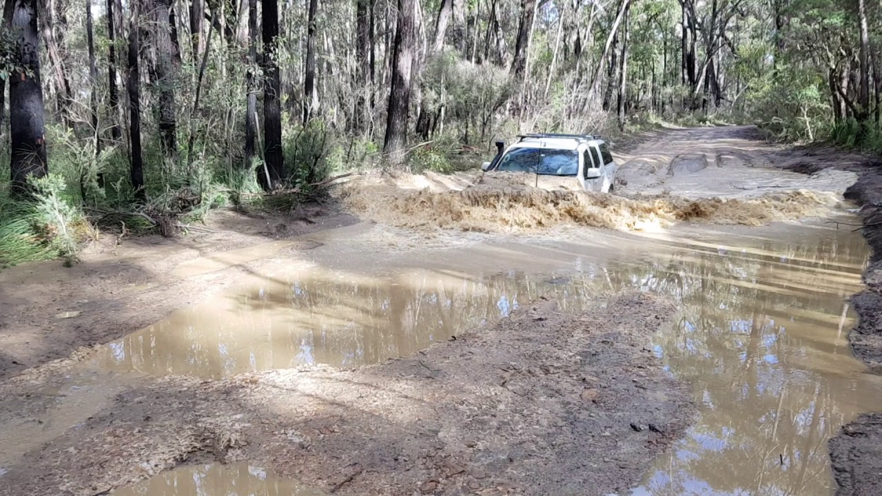 Pretty deep bog hole! - YouTube