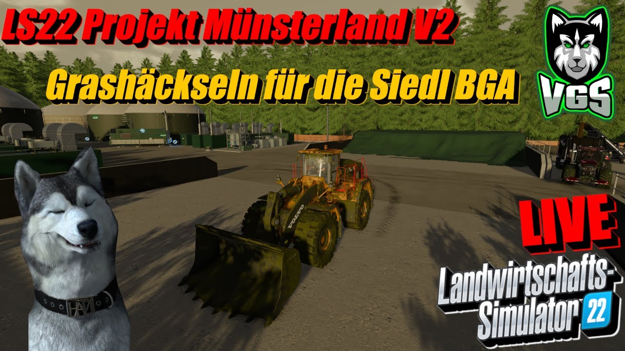 LS22 | Grashäckseln | Claas Jaguar 990 | der Husky muss Silo Schieben ...