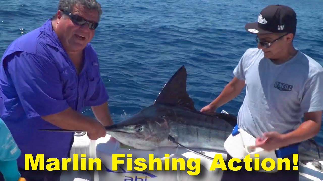 Marlin Fishing in the East Cape, Mexico - YouTube