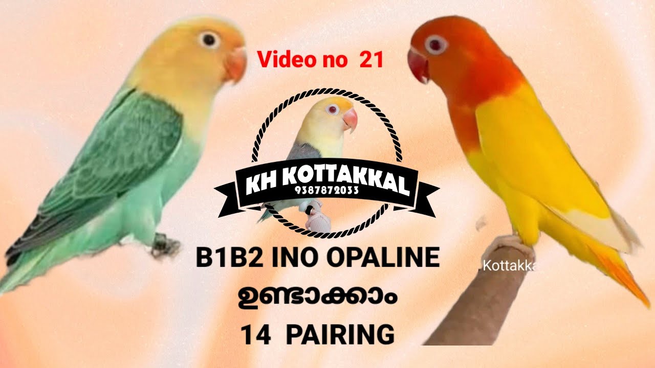 How to produce cremino opaline from difrent 14 pairing - YouTube