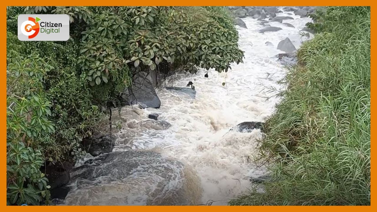 RIVER YALA FLOATING BODIES: Gem residents raise alarm over bodies ...