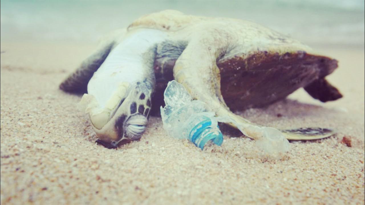 PROGRESO - ROBERTO CARLOS - YouTube