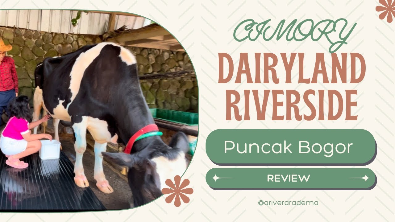 Cimory Dairyland Riverside Puncak Review - YouTube