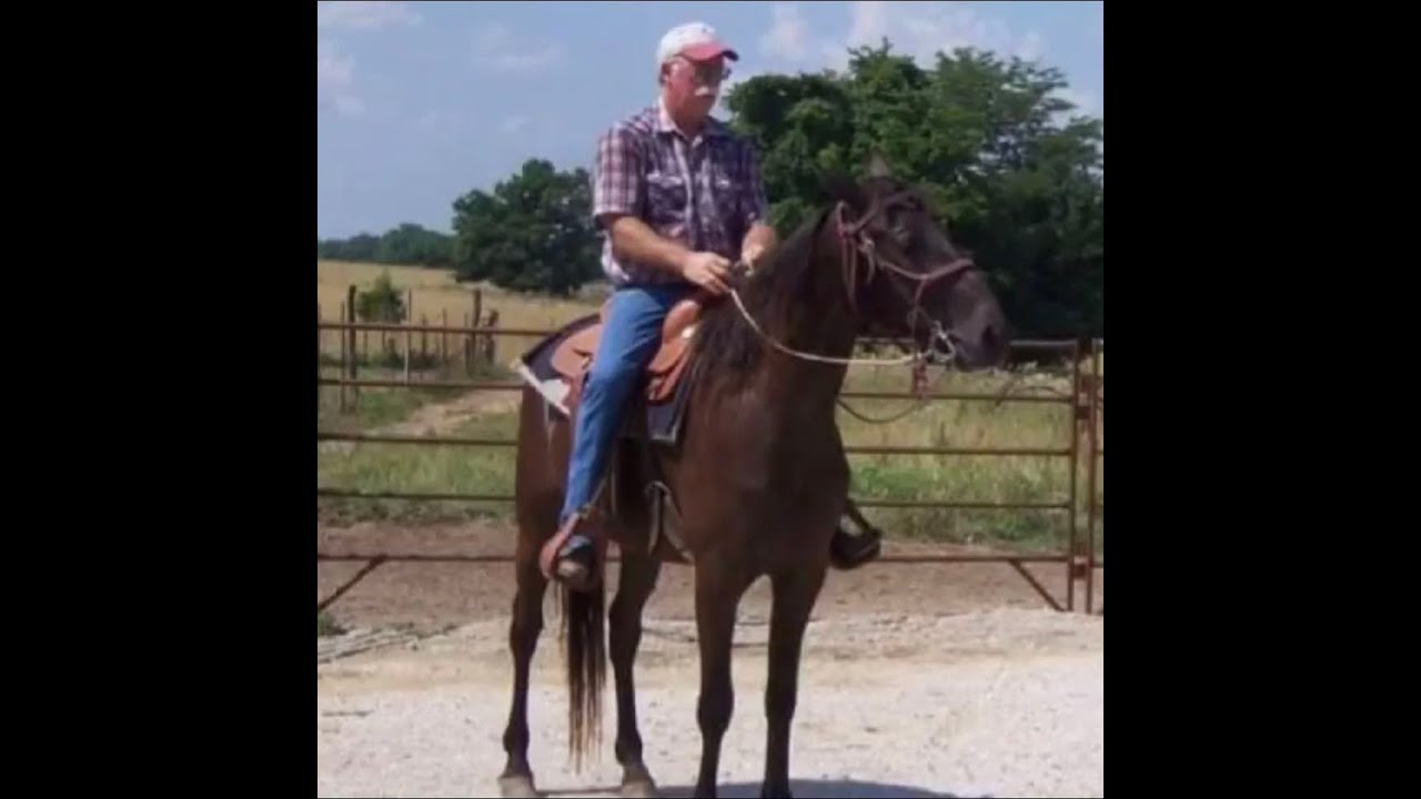 Ozark Nights - YouTube