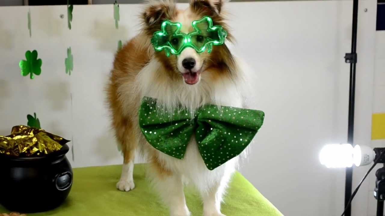 3-14-13 Dash posing - YouTube