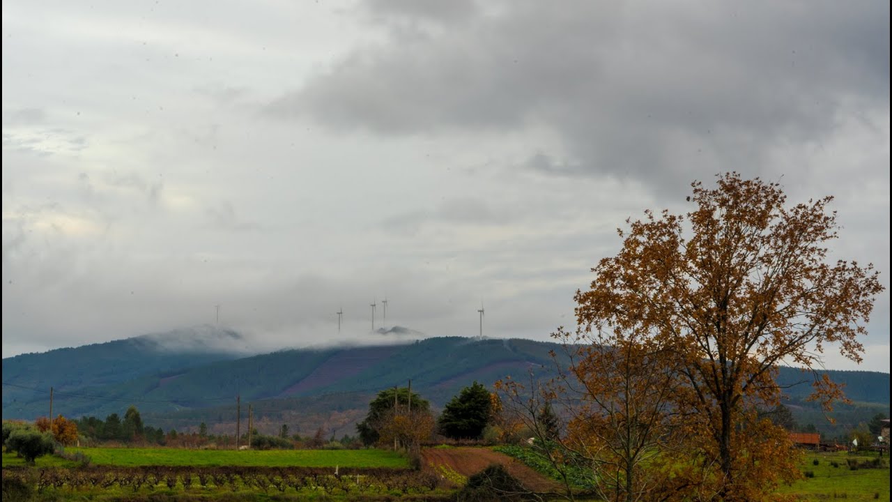 Morning Fog | Pure Nature ️ Aerial View ⁴ᴷ - YouTube